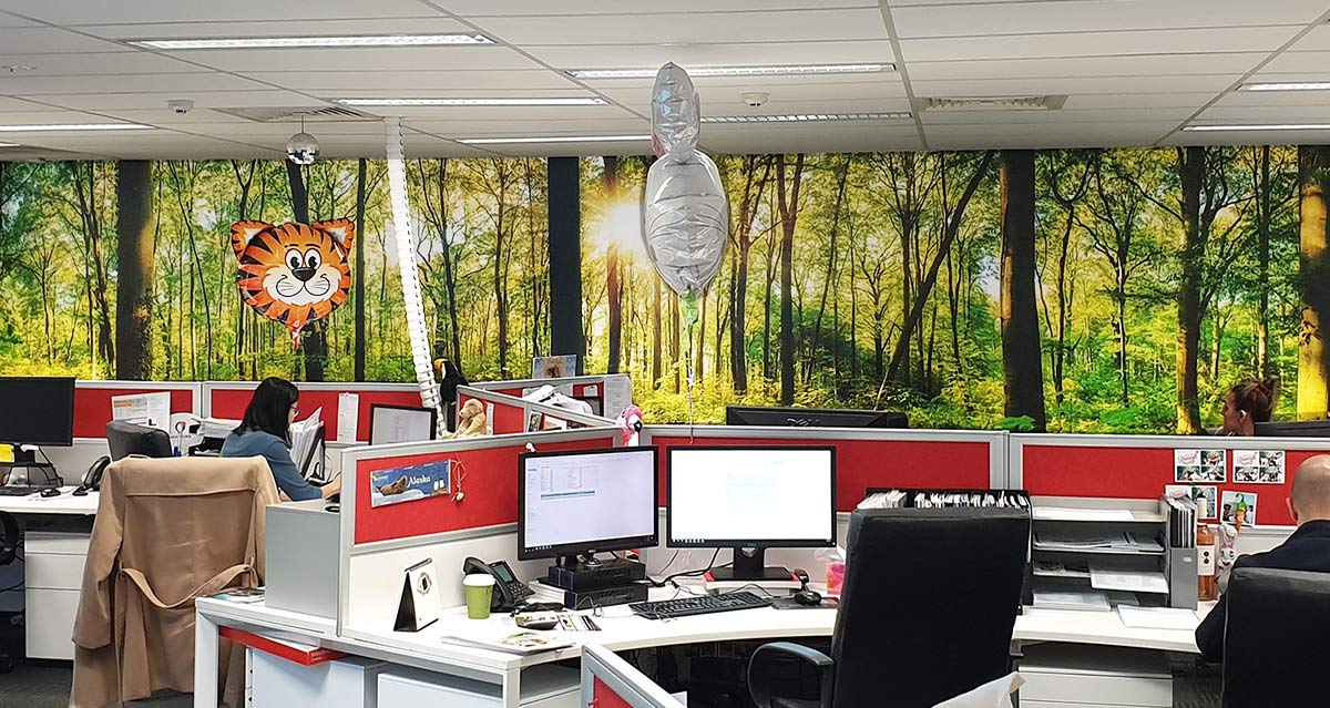 Bringing nature to your work space: the transformative power of Wall ...